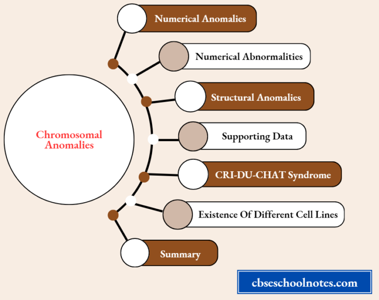Chromosomal Abnormalities Notes - CBSE School Notes