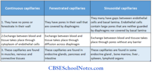 Circulatory System: Anatomy and Function Notes - CBSE School Notes