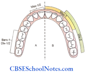 Genetics Of Developmental Disorders Of Teeth Notes - CBSE School Notes