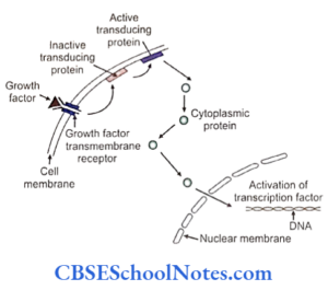 Molecular Control Of Development Notes - CBSE School Notes