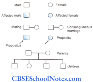 Patterns of Inheritance and Single-Gene Disorders Notes - CBSE School Notes