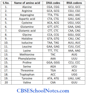 Genes – Characteristics, Structure and Functions of Gene - CBSE School ...