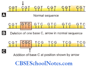 Genes – Characteristics, Structure and Functions of Gene - CBSE School ...