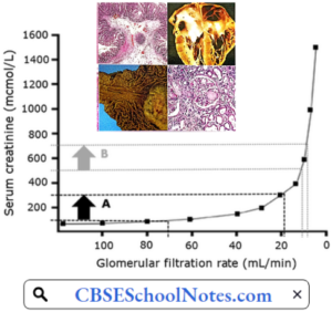 Pathophysiology Archives - CBSE School Notes