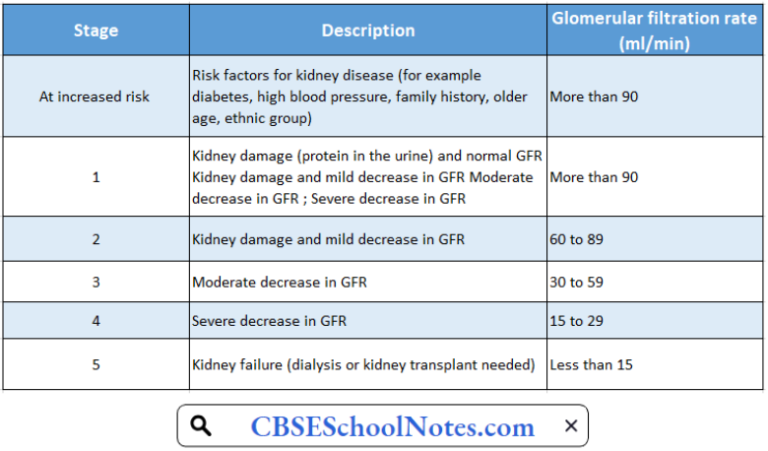 Diseases of the Kidney and the Urinary System - CBSE School Notes