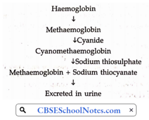 Antidotes in Poisoning - CBSE School Notes