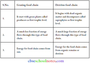 Ecosystem Class 12 Important Questions and Answers Biology Chapter 12 ...