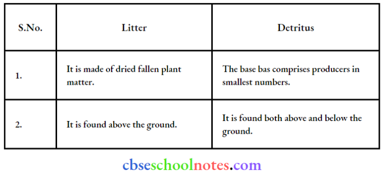 Ecosystem Class 12 Important Questions and Answers Biology Chapter 12 ...