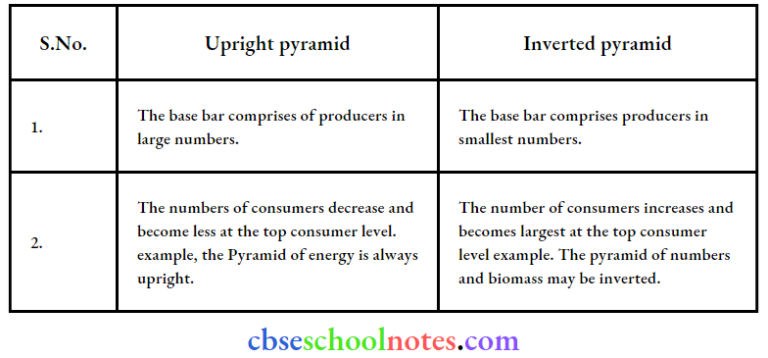 Ecosystem Class 12 Important Questions and Answers Biology Chapter 12 ...
