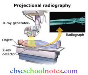 Important Questions for Class 12 Physics Chapter 8 Electromagnetic ...
