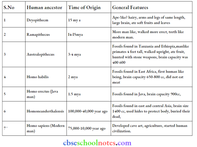 Evolution Class 12 Important Questions and Answers Biology Chapter 6 ...