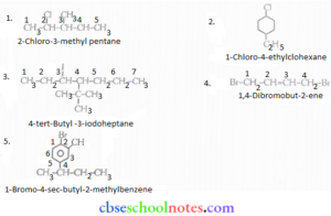 Important Questions for Class 12 Chemistry Chapter 6 Haloalkanes and ...