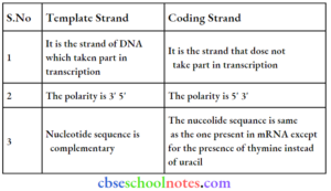 Molecular Basis of Inheritance Class 12 Important Questions and Answers ...