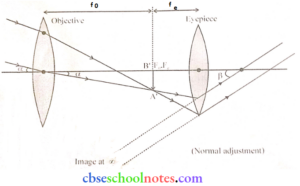 Important Questions for CBSE Class 12 Physics Chapter 9 Ray Optics and ...
