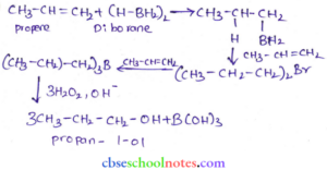Important Questions for Class 12 Chemistry Chapter 7 Alcohols, Phenols ...