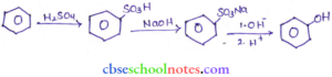 Important Questions for Class 12 Chemistry Chapter 7 Alcohols, Phenols ...