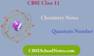 CBSE Notes For Class 11 Chemistry Quantum Number - CBSE School Notes