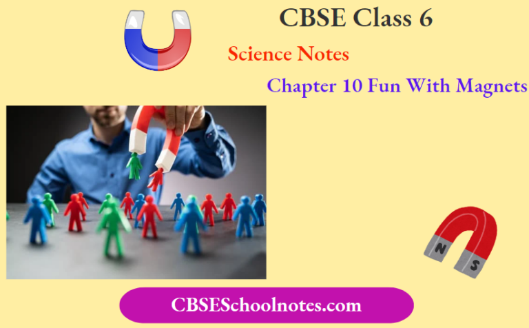CBSE Notes For Class 6 Science Chapter 10 Fun With Magnets - CBSE ...