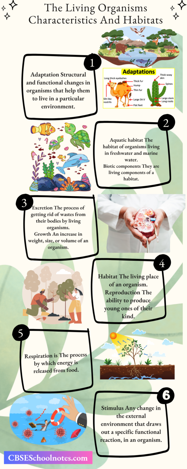 CBSE Notes For Class 6 Science Chapter 6 The Living Organisms ...