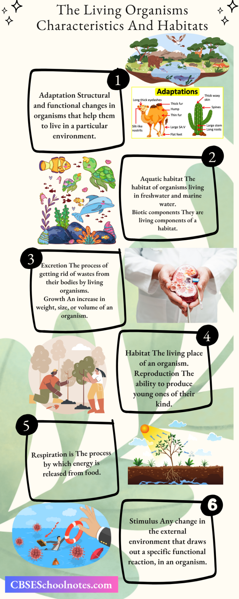 CBSE Notes For Class 6 Science Chapter 6 The Living Organisms ...