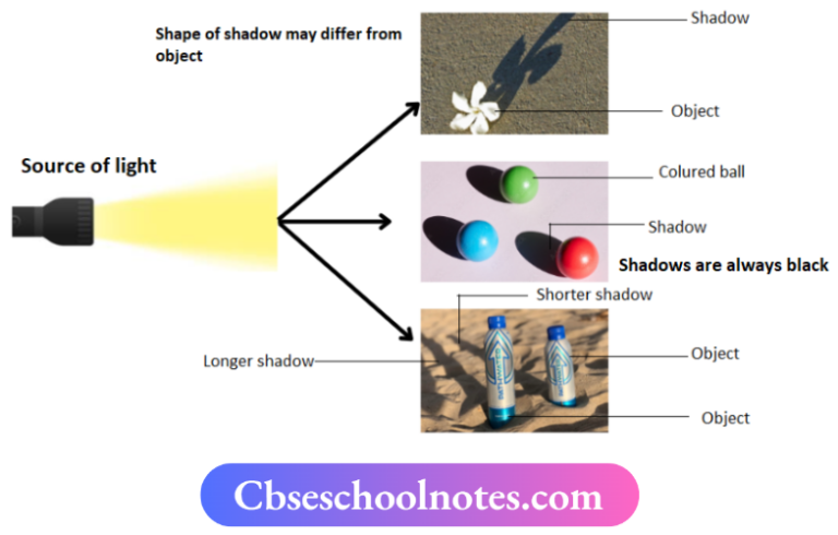 CBSE Notes For Class 6 Science Chapter 8 Light Shadows And Reflections ...