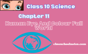 Class 10 Science Chapter 11 Human Eye And Colourful World Short Answer ...