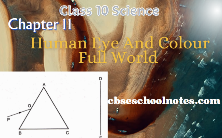 Class 10 Science Chapter 11 Human Eye And Colourful World Short Answer ...