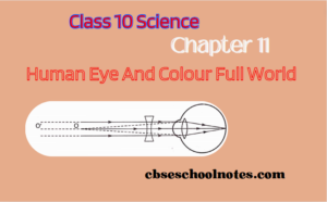 Class 10 Science Chapter 11 Human Eye And Colourful World Short Answer ...