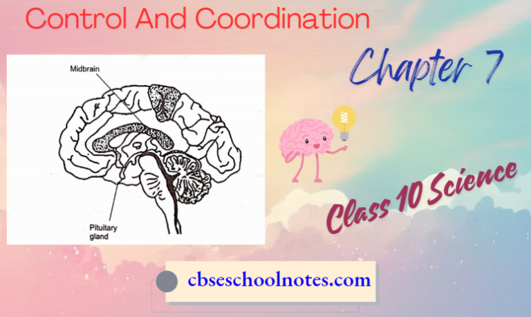 CBSE Class 10 Science Chapter 7 Control and Coordination Short Answer ...