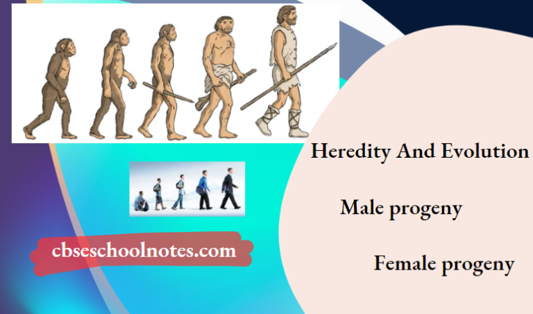 CBSE Class 10 Science Chapter 9 Heredity And Evolution Very Short ...