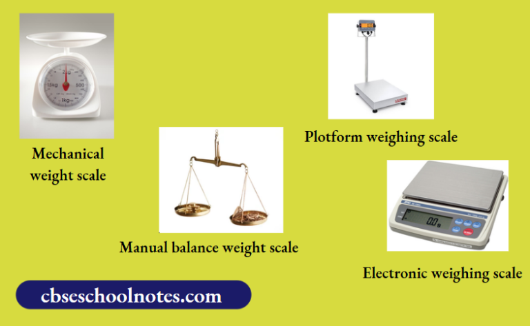 NCERT Workbook Solutions For Class 3 Chapter 4 Measurement - CBSE ...