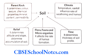 CBSE Class 8 Geography Chapter 2 Land, Soil, Water, Natural Vegetation ...