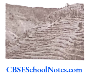 CBSE Class 8 Geography Chapter 2 Land, Soil, Water, Natural Vegetation ...