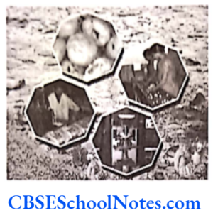 CBSE Class 8 Geography Chapter 4 Industries Notes - CBSE School Notes
