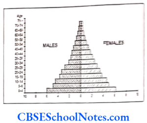 CBSE Class 8 Geography Chapter 5 Human Resources Notes - CBSE School Notes