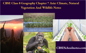 CBSE Class 8 Geography Chapter 7 Asia: Climate, Natural Vegetation And ...