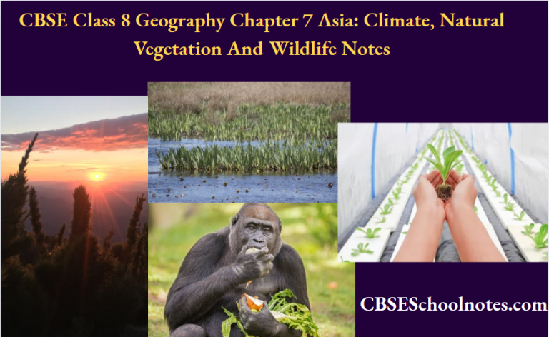 CBSE Class 8 Geography Chapter 7 Asia: Climate, Natural Vegetation And ...
