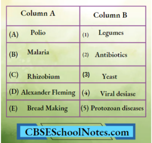 CBSE Class 8 Science Chapter 2 Microorganisms Friend And Foe Question ...