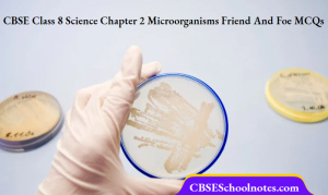 CBSE Class 8 Science Chapter 2 Microorganisms Friend And Foe MCQs ...