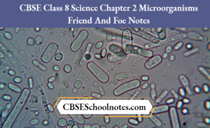 CBSE Class 8 Science Notes For Chapter 2 Microorganisms Friend And Foe ...