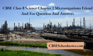 CBSE Class 8 Science Chapter 2 Microorganisms Friend And Foe Question ...