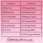 CBSE Class 8 Science Chapter 2 Microorganisms Friend And Foe Question ...