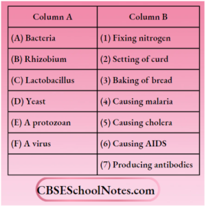 CBSE Class 8 Science Chapter 2 Microorganisms Friend And Foe Question ...