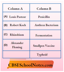CBSE Class 8 Science Chapter 2 Microorganisms Friend And Foe Question ...