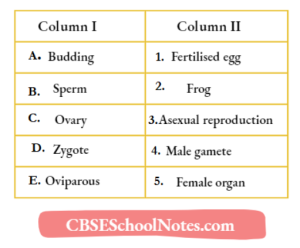 CBSE Class 8 Science Chapter 6 Reproduction In Animals Question And ...