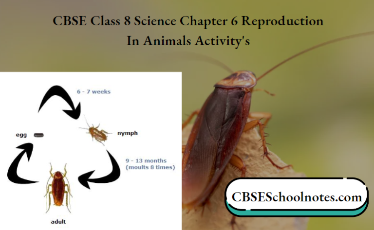 CBSE Class 8 Science Chapter 6 Reproduction In Animals Activities ...