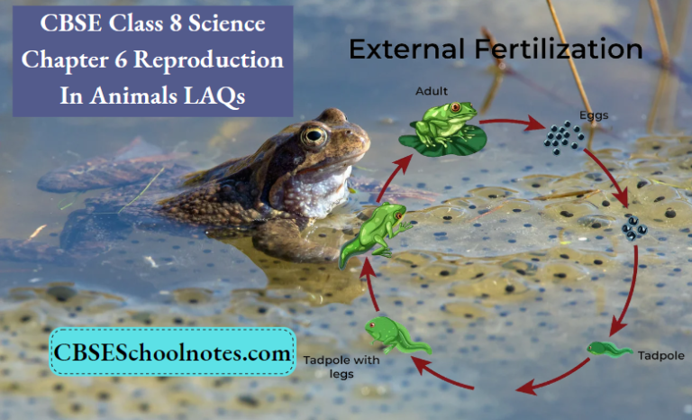 CBSE Class 8 Science Chapter 6 Reproduction In Animals LAQs - CBSE ...