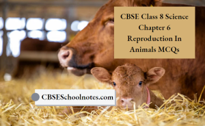 CBSE Class 8 Science Chapter 6 Reproduction In Animals MCQs - CBSE ...