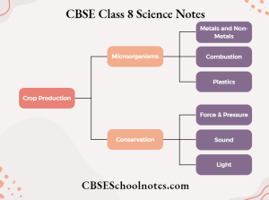CBSE Class 8 Science Notes - CBSE School Notes