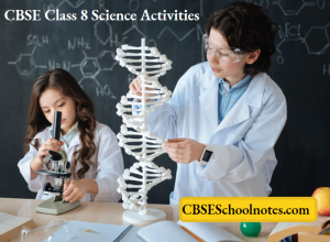 CBSE Class 8 Science Activities - CBSE School Notes